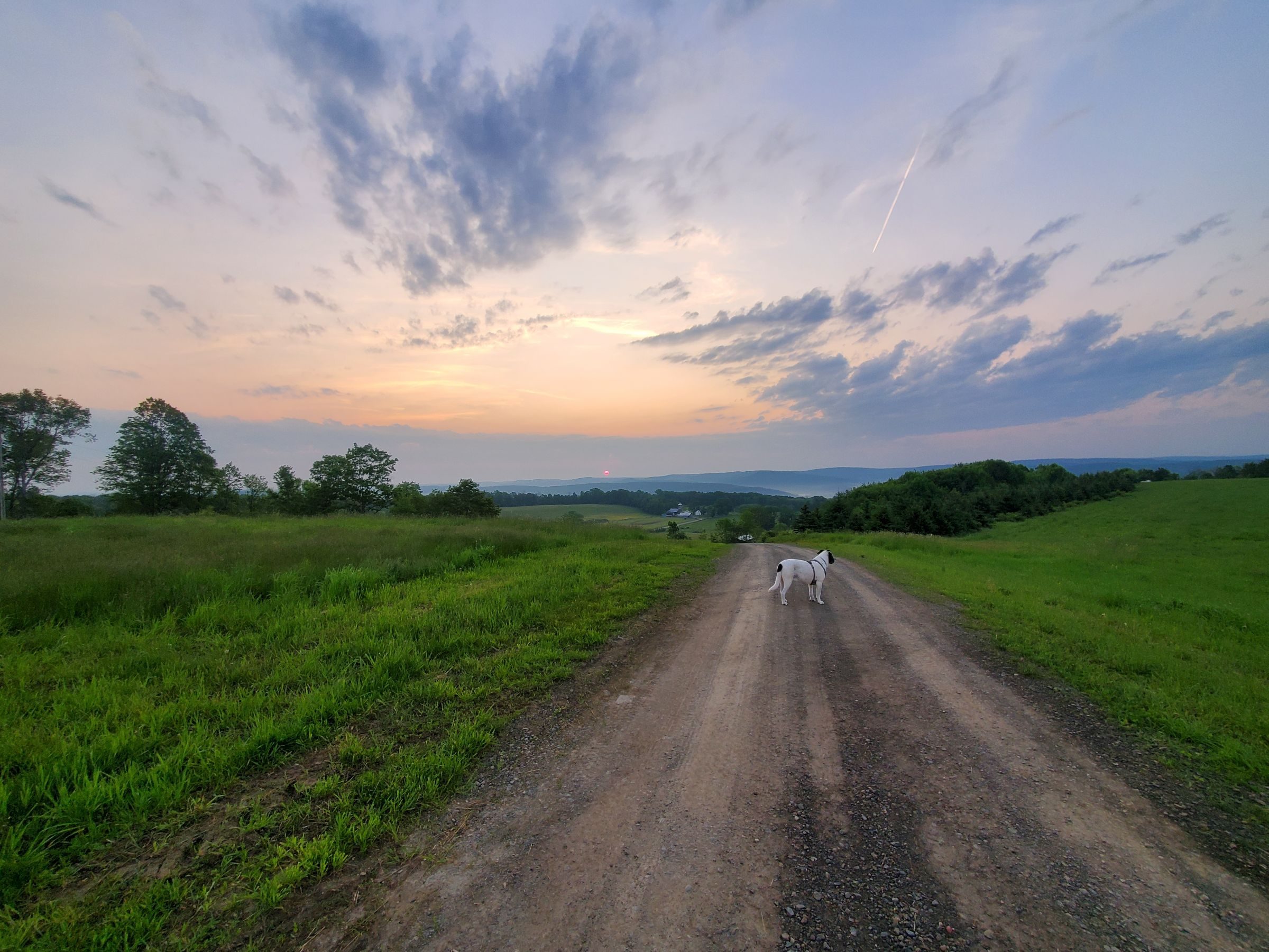Jennifer Wehner’s 2025 hike for mental health - HIKE for Mental Health